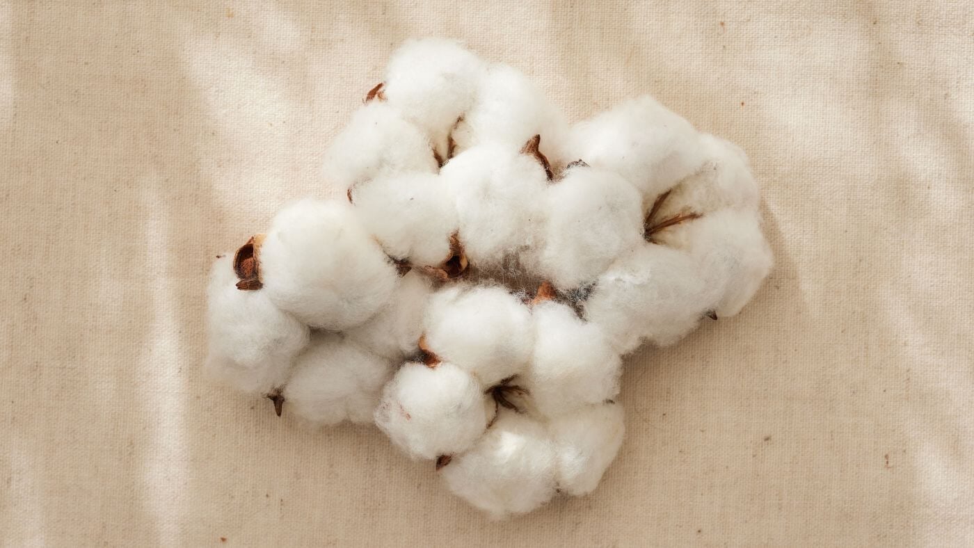 Cotton
